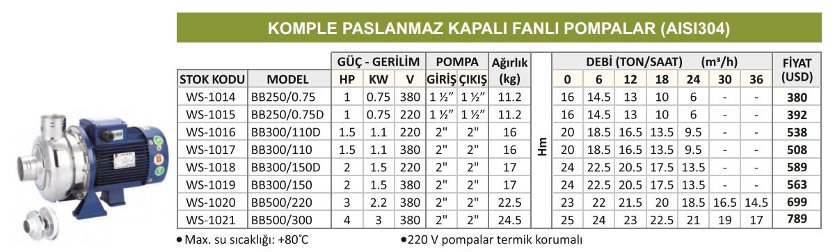 BB250/0.75 Komple Paslanmaz Kapalı Fanlı Pompa 1 HP 380 V - Water Sound